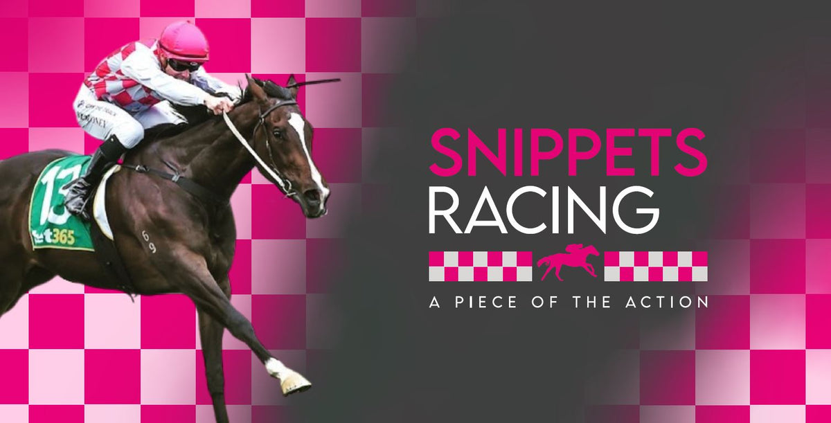Snippets Racing – FanFave