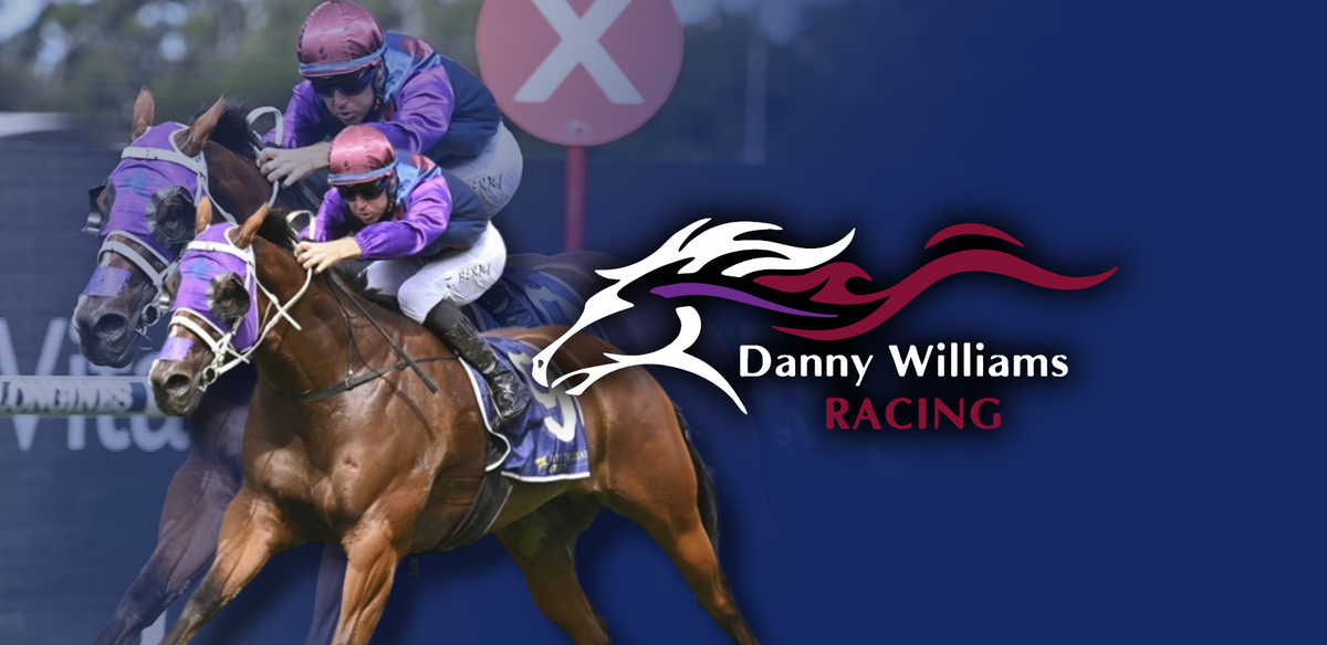 Danny Williams Racing – FanFave