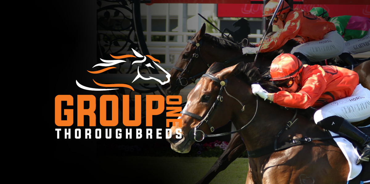 Group One Thoroughbreds – FanFave
