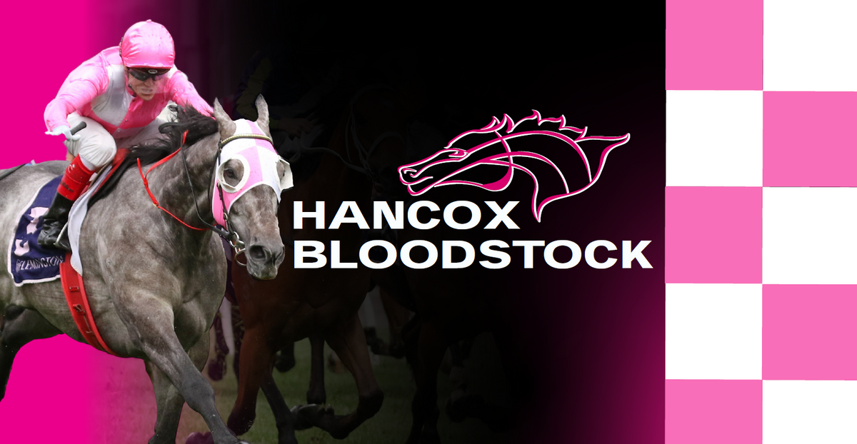 Hancox Bloodstock – FanFave