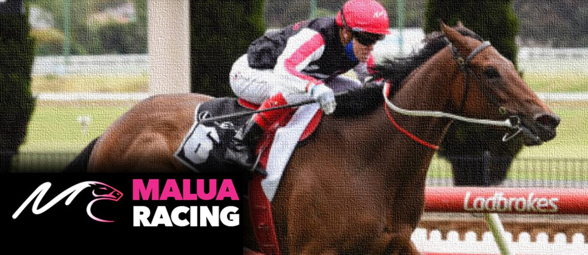 Malua Racing - Team Corstens – FanFave