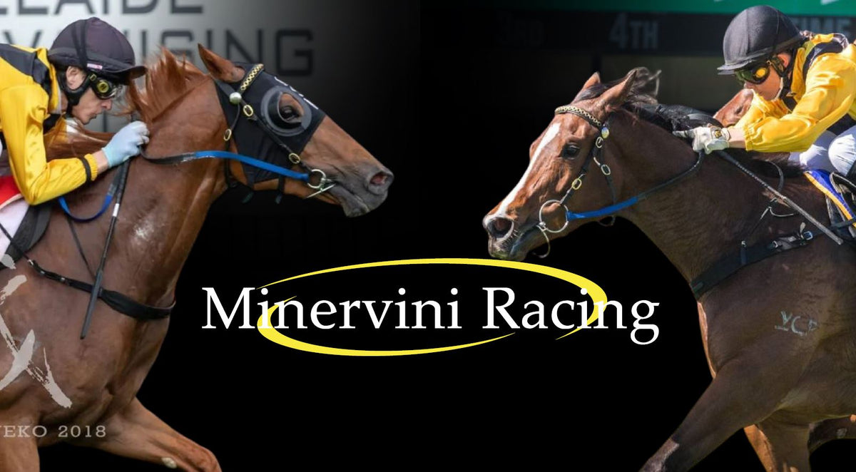 Minervini Racing – FanFave