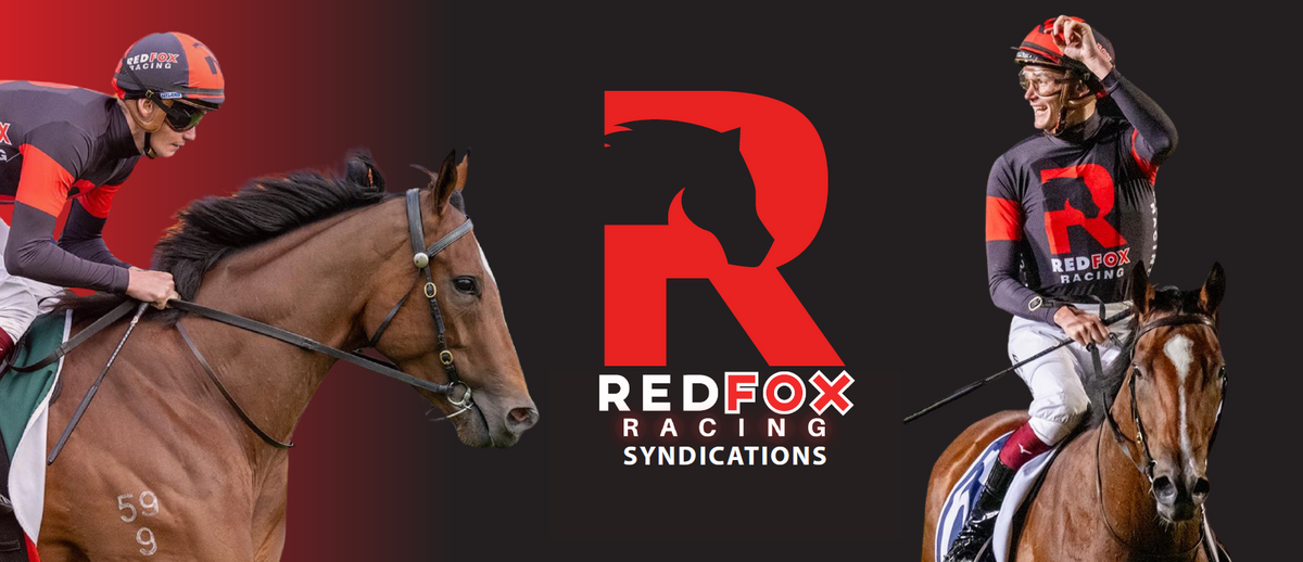 RedFox Racing Syndications – FanFave