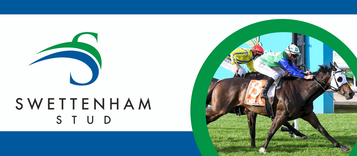 Swettenham Stud – FanFave