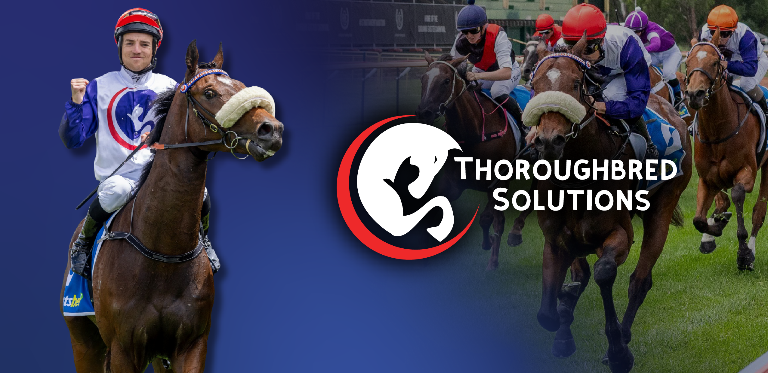 Thoroughbred Solutions – FanFave