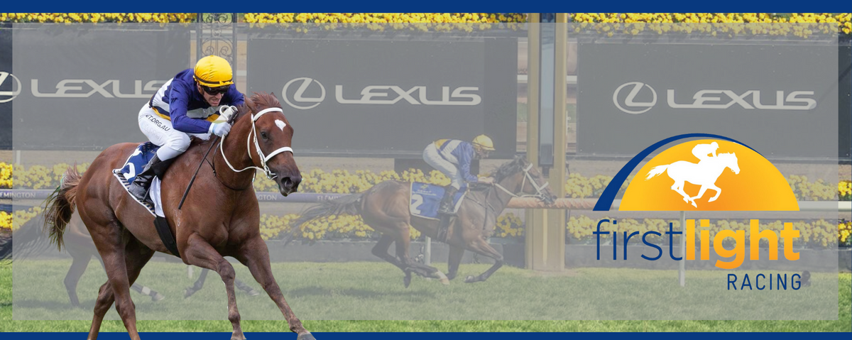 First Light Racing – FanFave